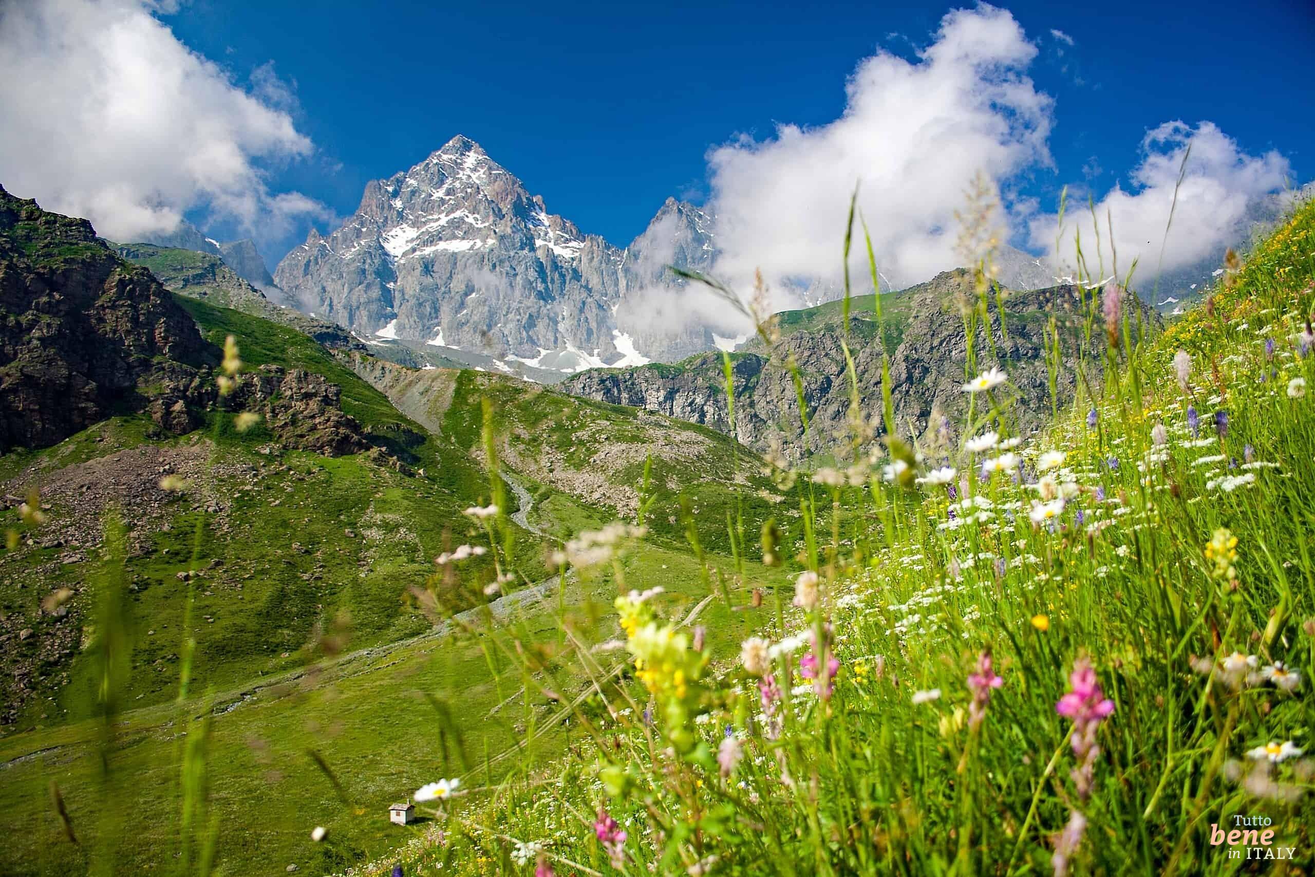 Hiking in Piedmont - Monviso Tour • Giro del Monviso in 5 Days